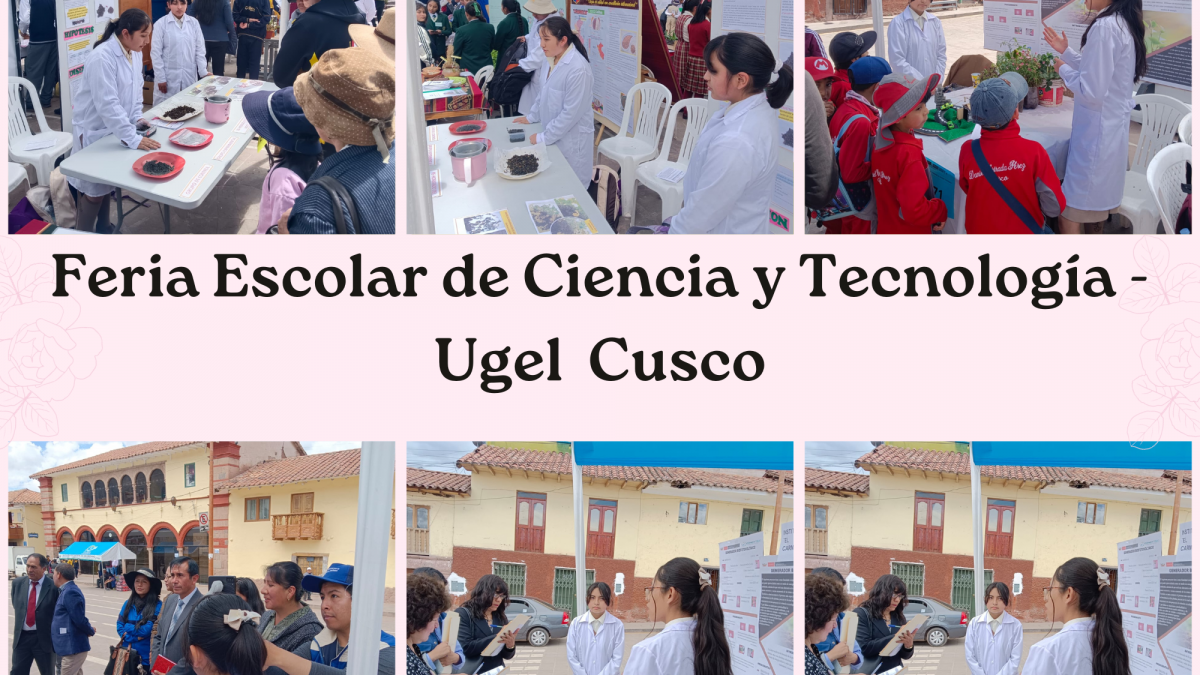 Feria Escolar Nacional de Ciencia y Tecnología - UGEL CUSCO - Colegio